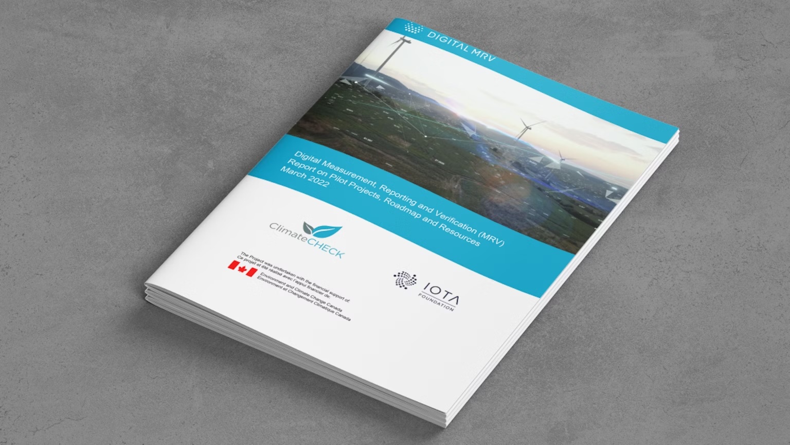 Digital Measurement Reporting Verification Pilot Programme – Gold ...