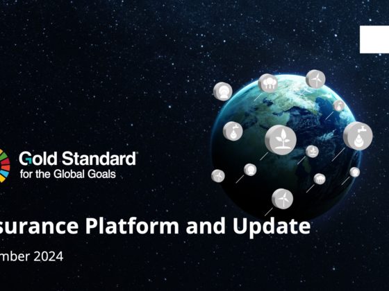 Gold Standard for the Global Goals – Standard Documents