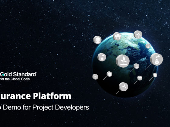 Gold Standard for the Global Goals – Standard Documents